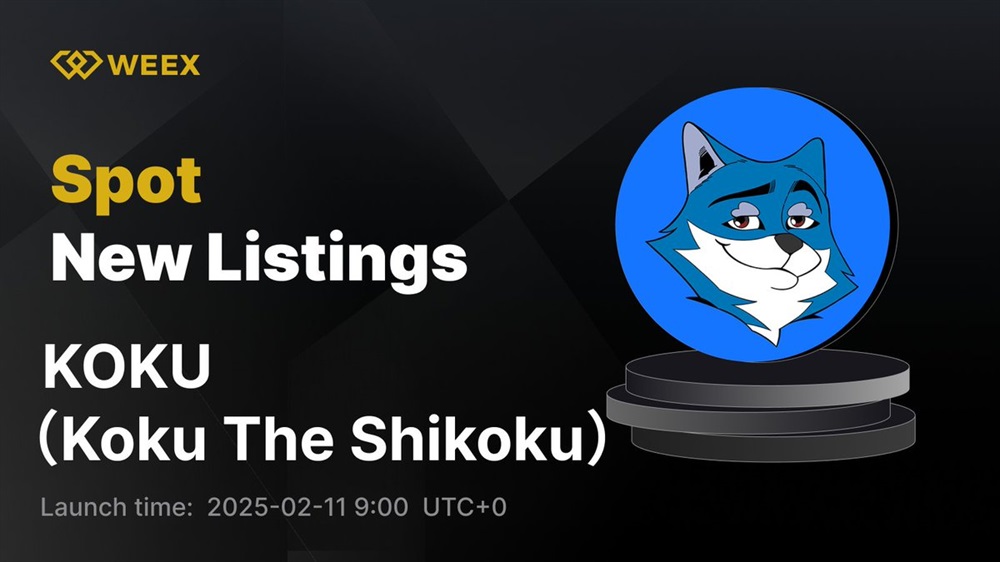 Koku the Shikoku to Be Listed on WEEX on February 11th — Coindar